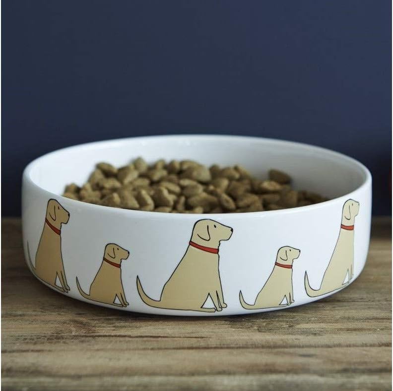 Sweet William Yellow Labrador Dog Bowl – BigaMart