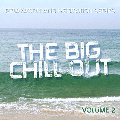 Amazon.com: The Big Chill Out - Relaxation and Meditation Series, Vol ...
