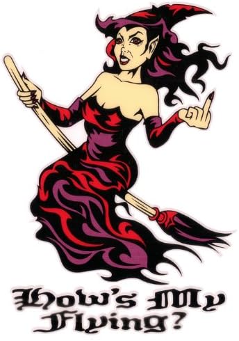 Amazon.com: How's my Flying? - Car Sticker