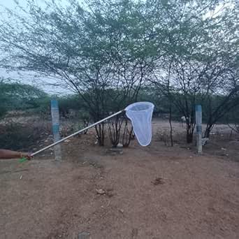 Labitems - Insect Collecting Net with Stainless Handle : Amazon.in ...