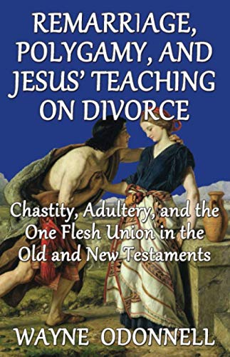 Remarriage, Polygamy, and Jesus’ Teaching on Divorce: Chastity ...