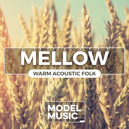 Amazon Music UnlimitedでVARIOUS ARTISTSのMellow - Warm Acoustic Folkを