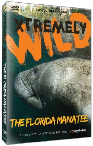 Amazon.com: Florida Manatee [DVD] [Region 1] [US Import] [NTSC ...