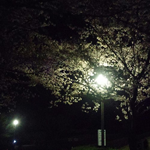 Amazon Musicでthomas' factoryのソルト・ストーリーを再生する