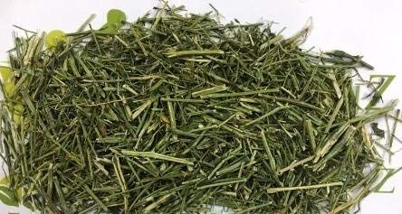 Buy HINDU GURU GOYAL CHIRAYTA/BITTERSTICK/CHIRATA/SWERTIA CHIRATA (250 ...