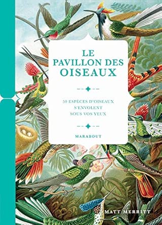 Le pavillon des oiseaux : Merritt, Matt, Valentin, Véronique: Amazon.de ...
