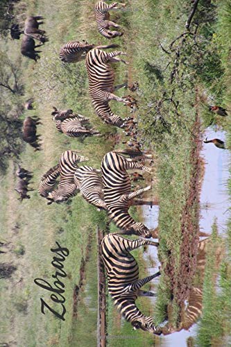Zebras: Notebook with Animals for Kids, Notebook for Coloring Drawing ...