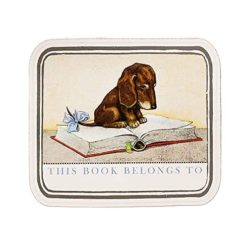Amazon.com: Dachshund Puppy Bookplates, Self-Adhesive, Book Plate ...