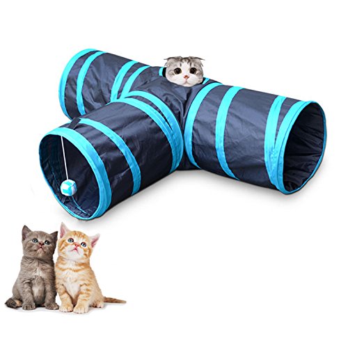 Cat Fun Run Tunnel