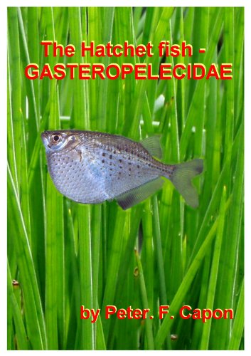 The Hatchet Fish - Gasteropelecidae eBook : Capon, Peter. F.: Amazon.ca ...