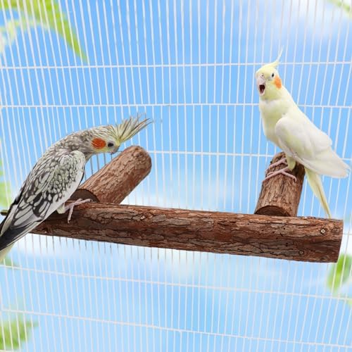 Amazon.com : 16 × 8 Inches Extra Large Bird Perch Stand Toy, Natural ...