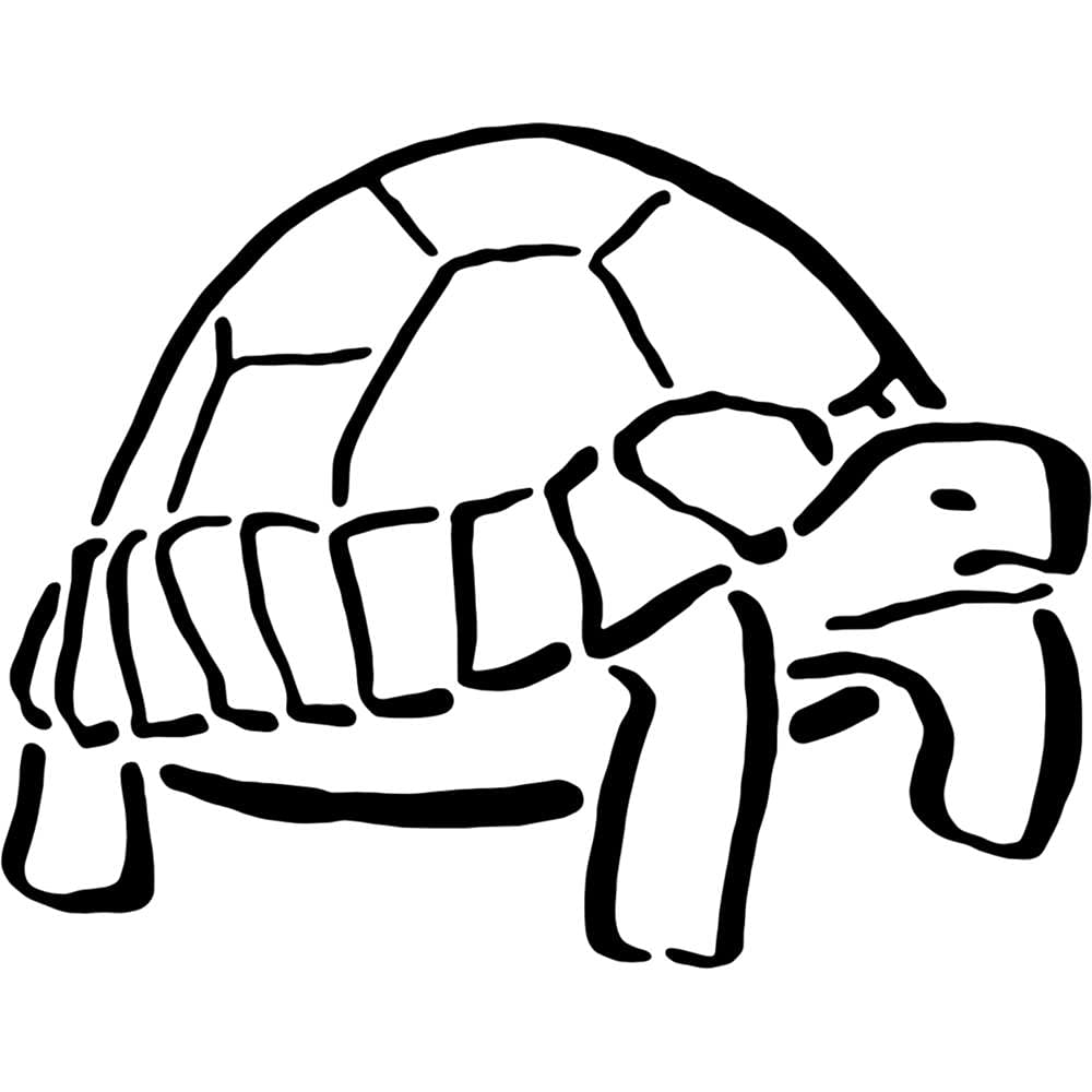 Tortoise Template