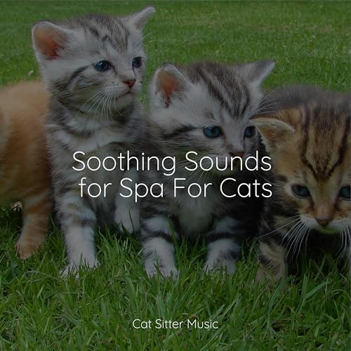 Soothing Sounds for Spa For Cats von Jazz Music for Cats bei Amazon ...