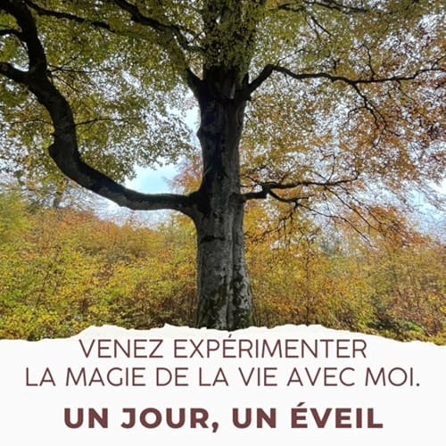 Amazon.com: Un jour, un éveil. : fosset typhaine: Audible Books & Originals