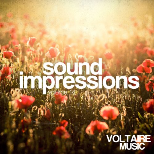 Play Sound Impressions, Vol. 14 by VARIOUS ARTISTS on Amazon Music