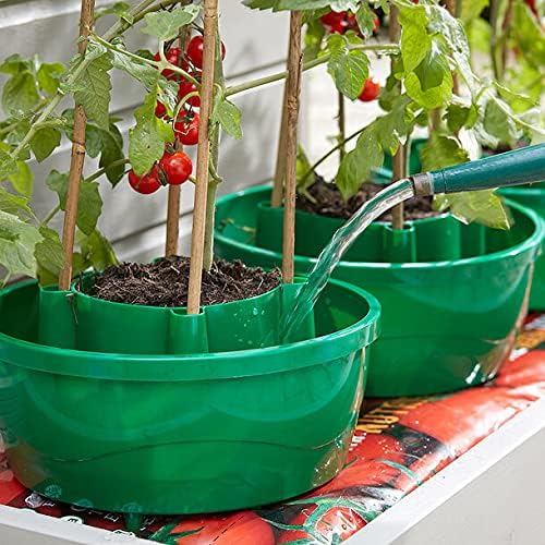 Hercul-Easy Easylife Plant Watering System Set of 3, Plant Halos ...
