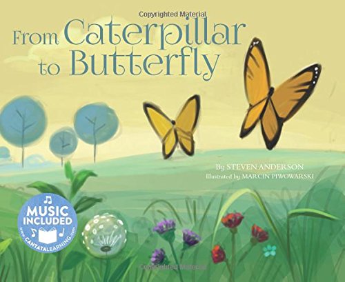 Buy From Caterpillar to Butterfly Book Online at Low Prices in India ...