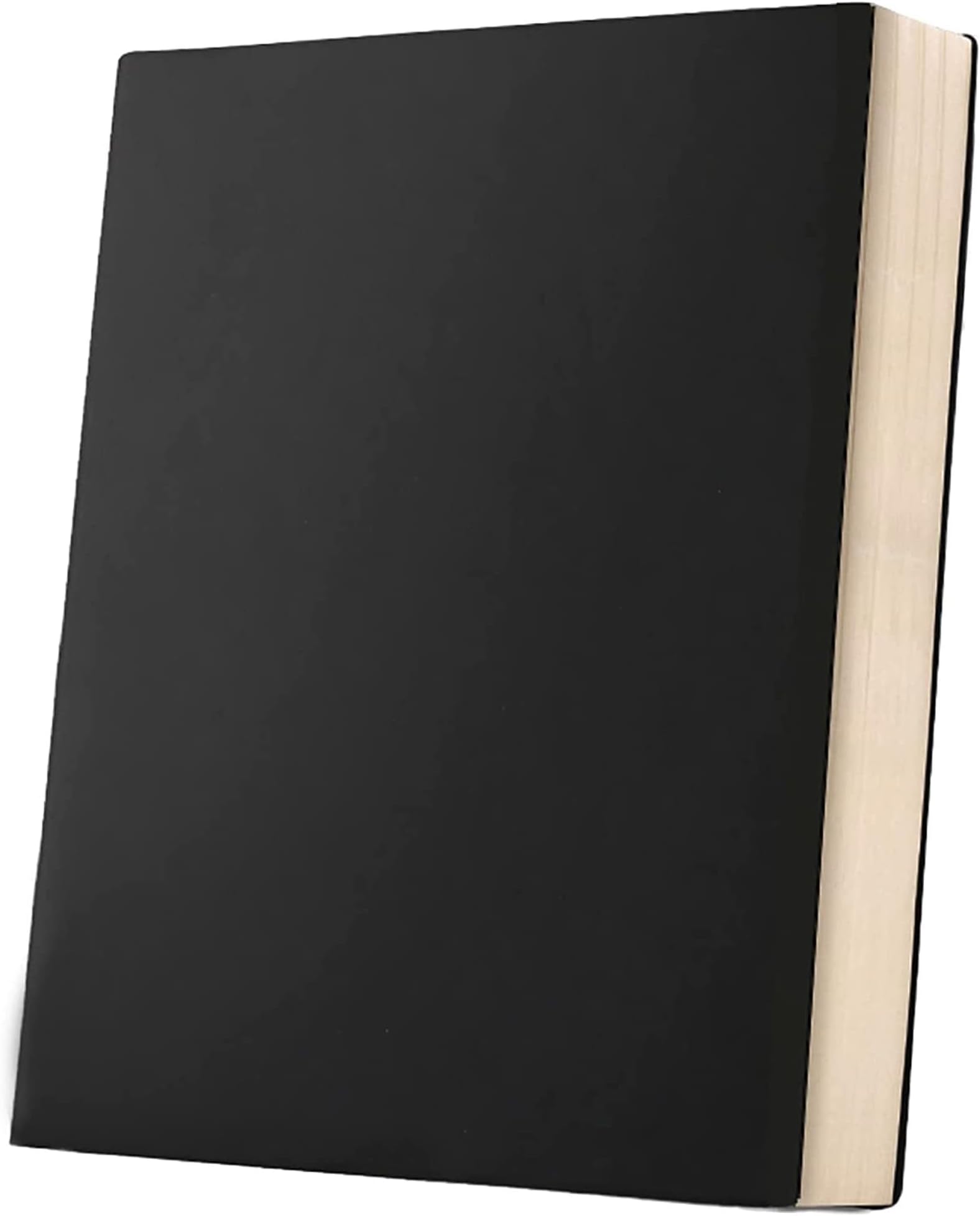 Amazon Basics Professional Journal, 26.67 X 19.05 cm, Black, 2-Pack ...