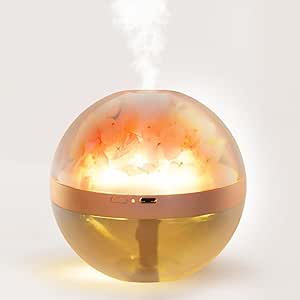 Amazon.com: GOWENIC Cute Humidifier with eternal flower design,Pink ...