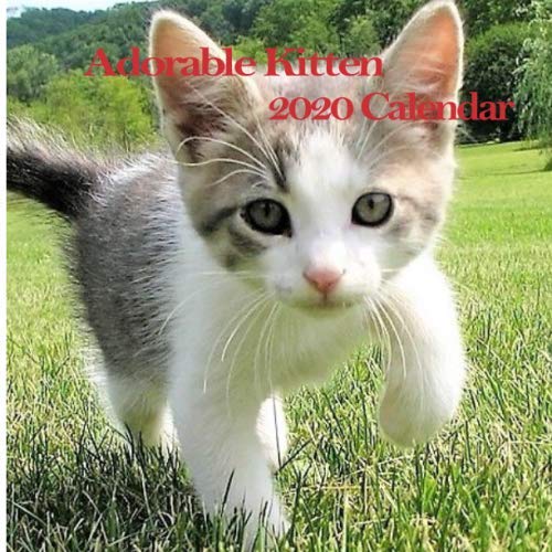 I Love Kitten 2020 Calendar: Adorable Kittens Baby Cats 2020 Monthly ...