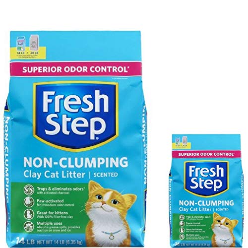 Top 10 Walmart Fresh Step Products You Need for a Fresher Home: A ...