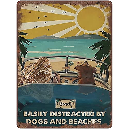 10 Must-Have Products for a Paw-some Day at MA Dog-Friendly Beaches: A ...