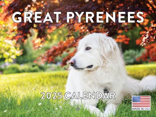 Amazon.com: Beaver Calendar 2025 Monthly Wall Calender 12 Month ...