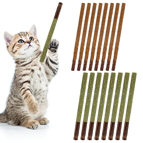 Katze Weed – Die 15 besten Produkte im Vergleich & Angebote ...