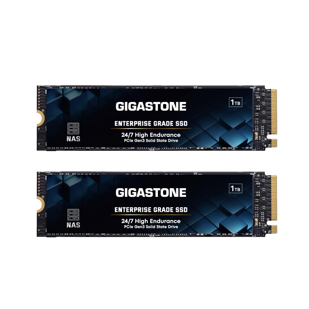 Amazon.com: Gigastone SSD 1TB (2-Pack) M.2 NAS SSD 24/7 High Endurance ...