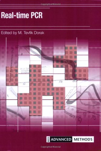 Real-Time Pcr: unknown author: 8580000959352: Amazon.com: Books