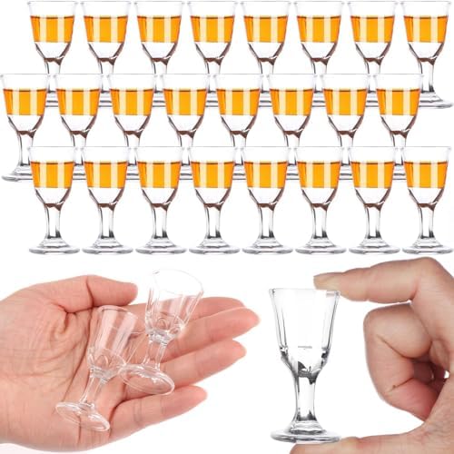 Amazon.com | RUIYELE 24 Pack Small Mini Shot Glasses 10 ml 0.338oz ...