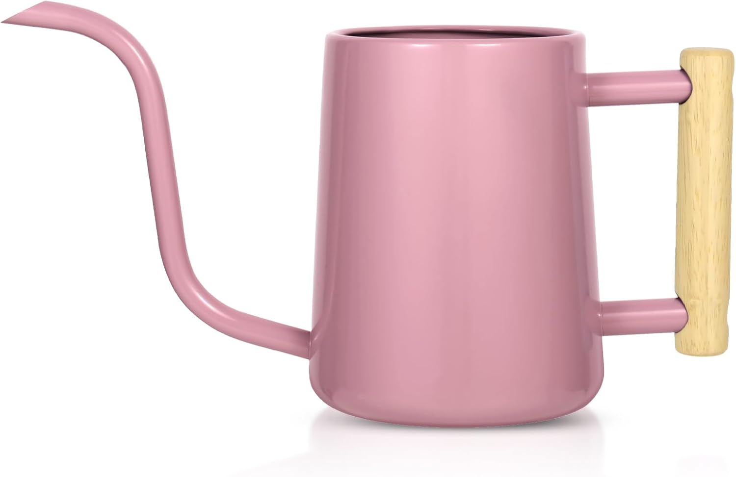 Amazon.com : Watering Can Indoor Plants, 35 oz/1000 ml Metal Stainless ...