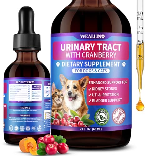 10 Best Antibiotics for Cat Urinary Tract Infections [2025]