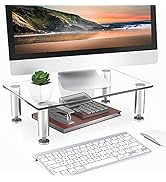 FITUEYES Computer Monitor Riser 16.7 inch Laptop Stand Save Space Desk ...