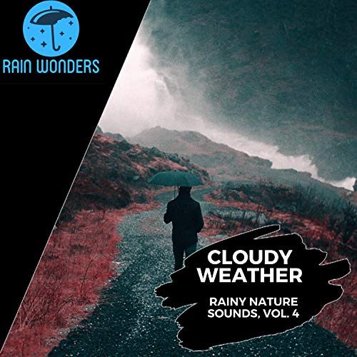 Amazon.com: Cloudy Weather - Rainy Nature Sounds, Vol. 4 : Rain Sounds ...