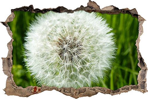 Stilvolle Wandtattoo Pusteblume 3d Bild