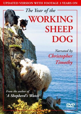 Amazon.com: The Year of the Working Sheepdog [DVD] : Movies & TV