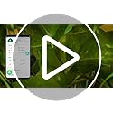 Amazon.com: Flora Pod AI-Powered Smart Plant Monitor | for Indoor or ...