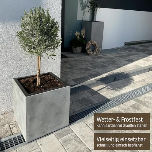 Beton Pflanzkubel Frostsicher