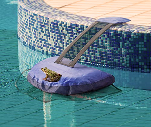 Top 10 Best Frog Log For Pool : Reviews & Buying Guide - Katynel