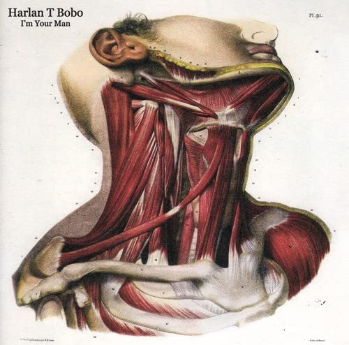 BOBO,HARLAN T. - I'm Your Man - Amazon.com Music