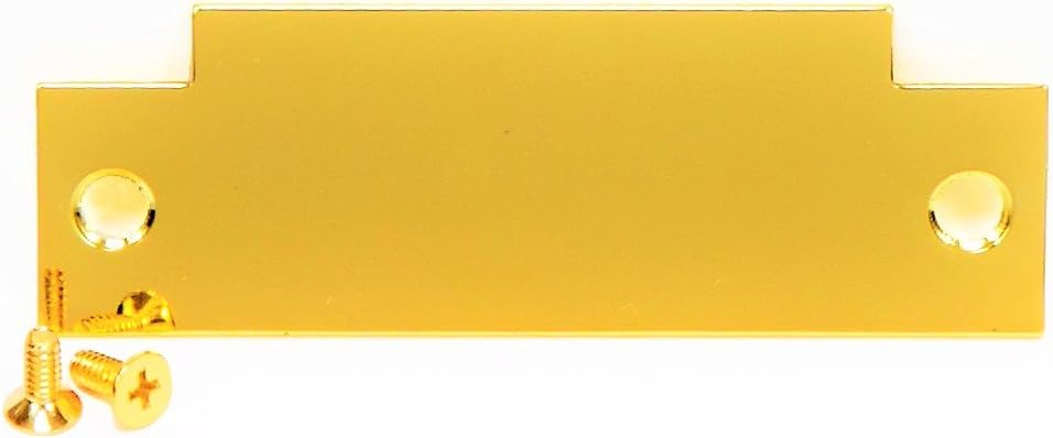 TUFF STRIKE Filler Plate for ANSI Strike | T-Shaped Door Strike Filler ...