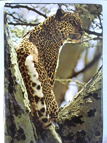 Amazon.com: Zoo Ostafrika: Hediger, Heini and Zurich, Zoo, Meier Jun ...