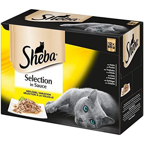 Sheba Selection in Sauce – Die 15 besten Produkte im Vergleich ...