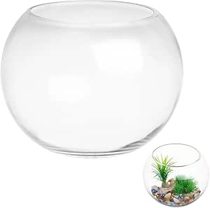 Amazon.com : GANAZONO Office Decor Glass Vase Glass Fish Bowl Clear Terrarium Globe Flower Vase ...