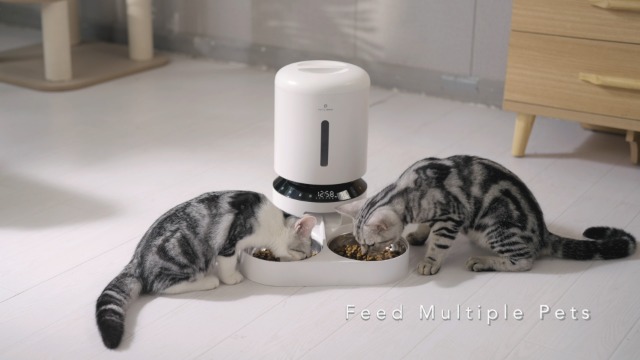 Watch PETLIBRO Automatic Pet Feeder for Two Pets [PLAF006] on Amazon Live