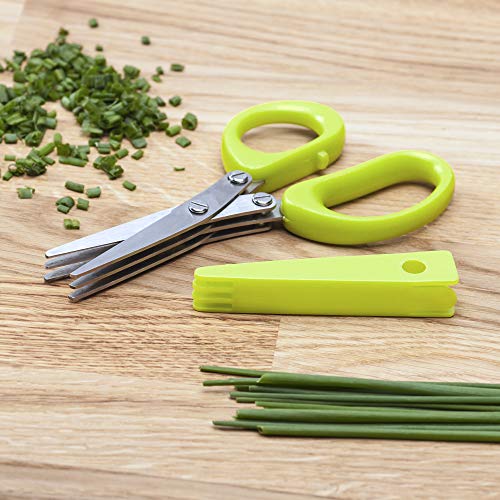 Kilo 3 Blade Mini Herb Scissors/Shears with Safety Cover – BigaMart