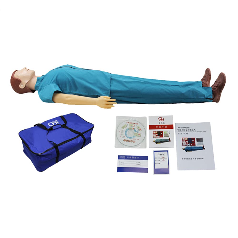 Buy Realistic Human Manikin Multifunctional Safety Certification ...