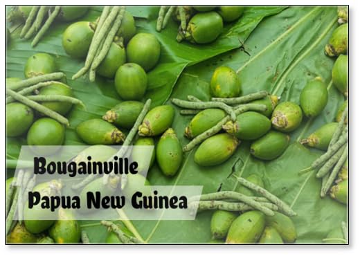 Amazon.com: Photomagnet Areca Nut, Called Buai and Betel Nut on The ...
