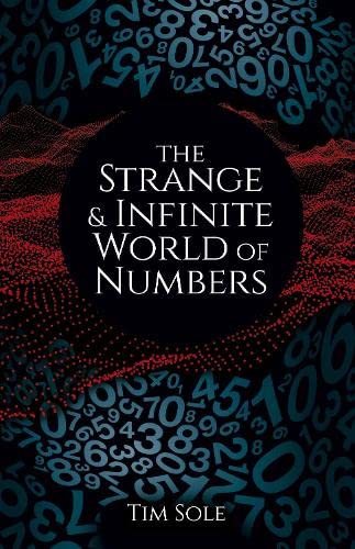 The Strange & Infinite World of Numbers: Sole, Puzzles Numbers and ...